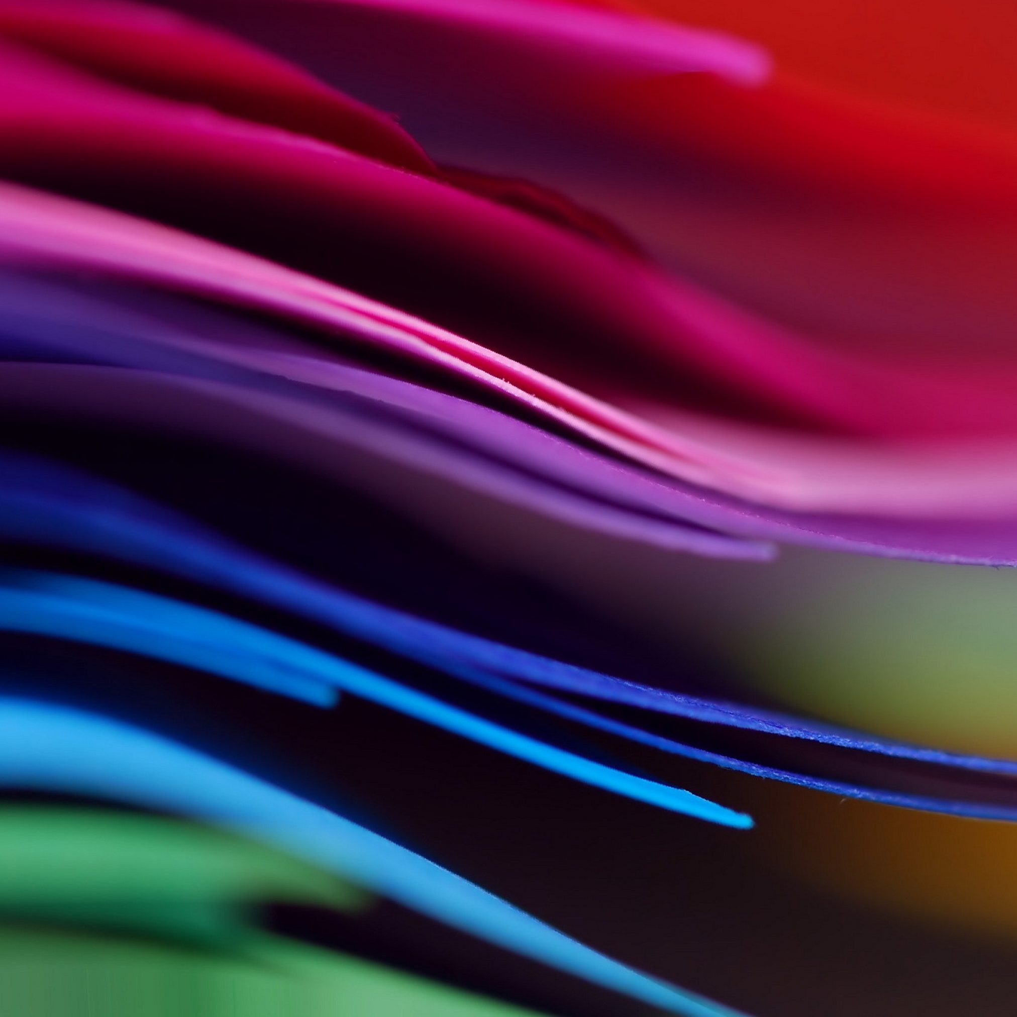 ConsolidatedColorCorp – Just another WordPress site